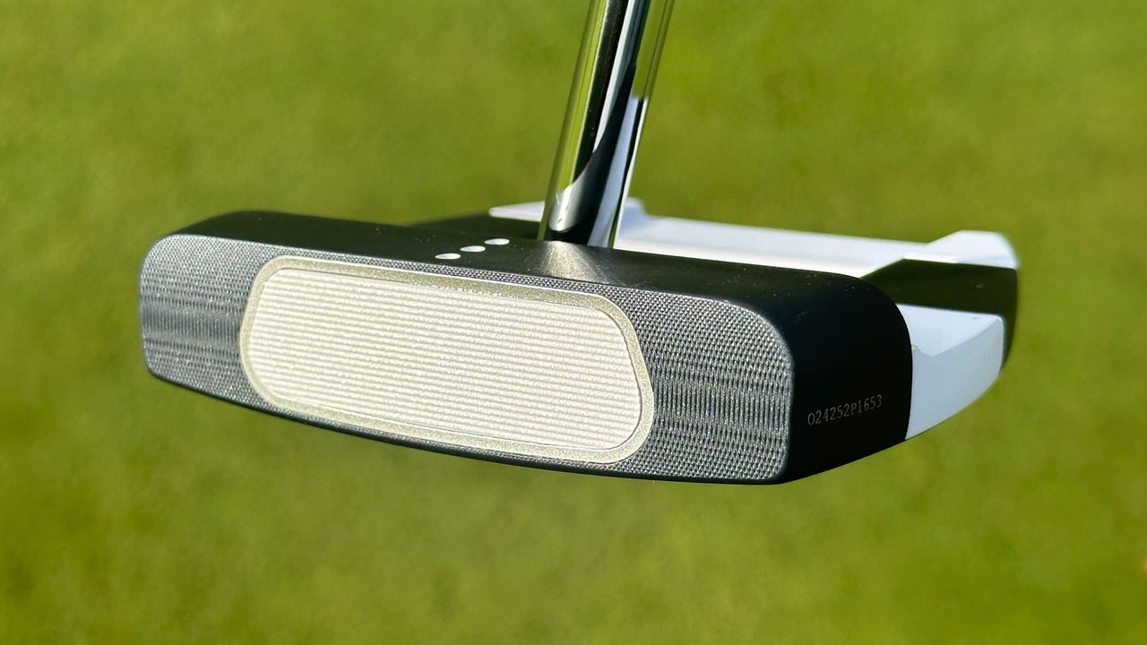 How To Choose A Putter: Finding A Flatstick Perfect For Your Game ...