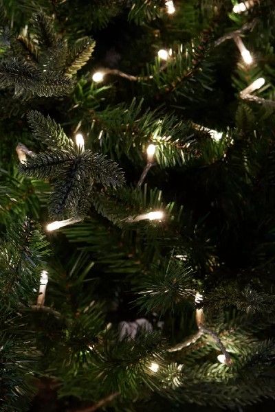 How many lights do I need for my Christmas tree? | Ideal Home