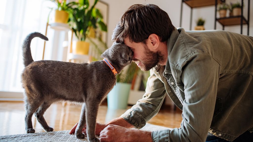 32 of the sweetest ways cats show affection | PetsRadar