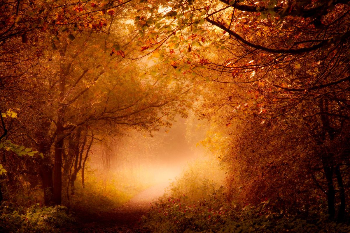 My 10 best photographs ever: Peter Fenech, Staff Writer, Digital ...