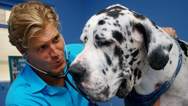 Hearst Buys Majority Interest in Litton Entertainment | Next TV