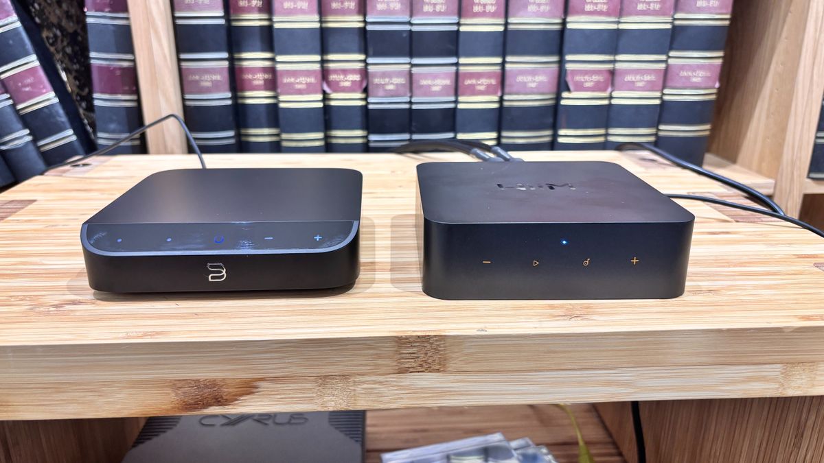 Bluesound Node Nano vs WiiM Pro Plus: which entry-level streamer is ...
