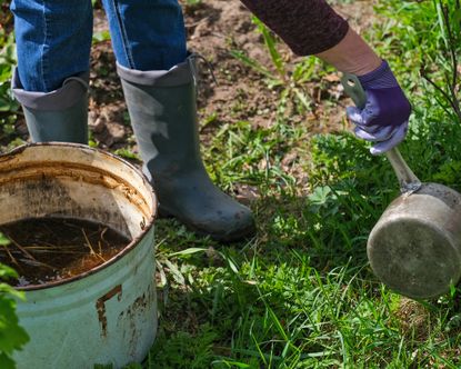 Types Of Composting Explained: Find The Best Method For You | Gardening ...