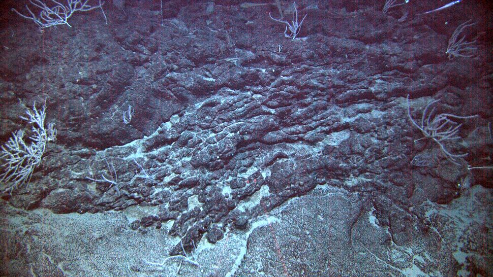 Photos: Hawaii's New Underwater Volcano | Live Science