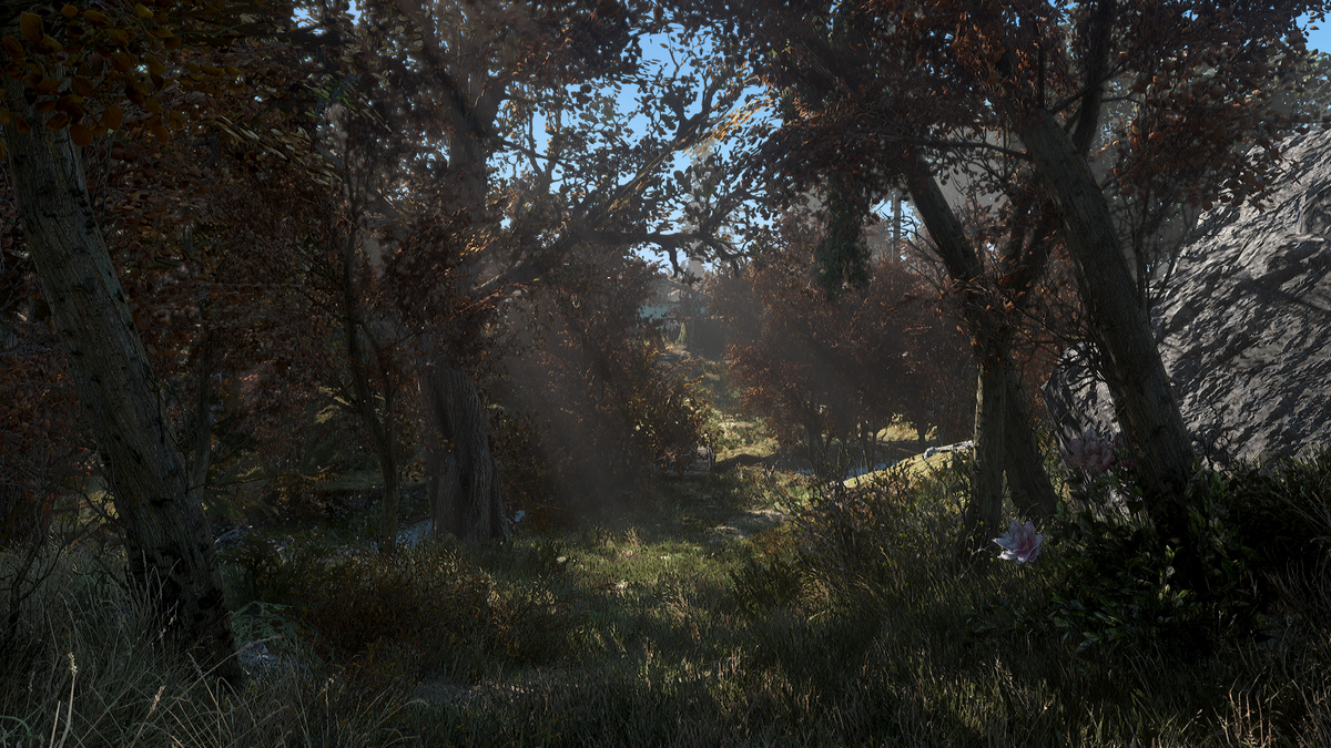 This Fallout 4 graphics mod might be irradiated Boston's most beautiful ...