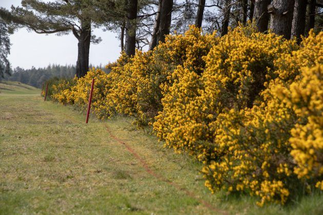 Red Stakes In Golf - Everything You Need To Know! | Golf Monthly