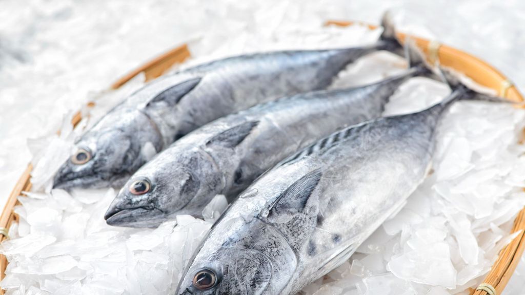 32 foods that cats should never eat | PetsRadar