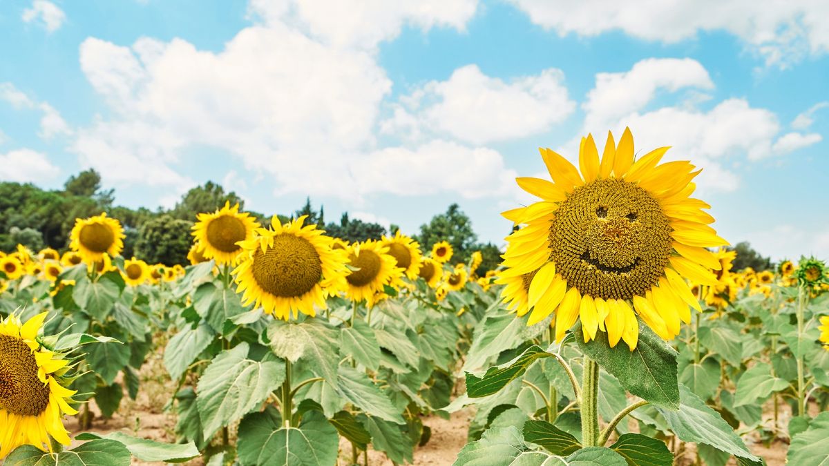 How to be happy: 8 ways to boost your mood by going outside | Woman & Home