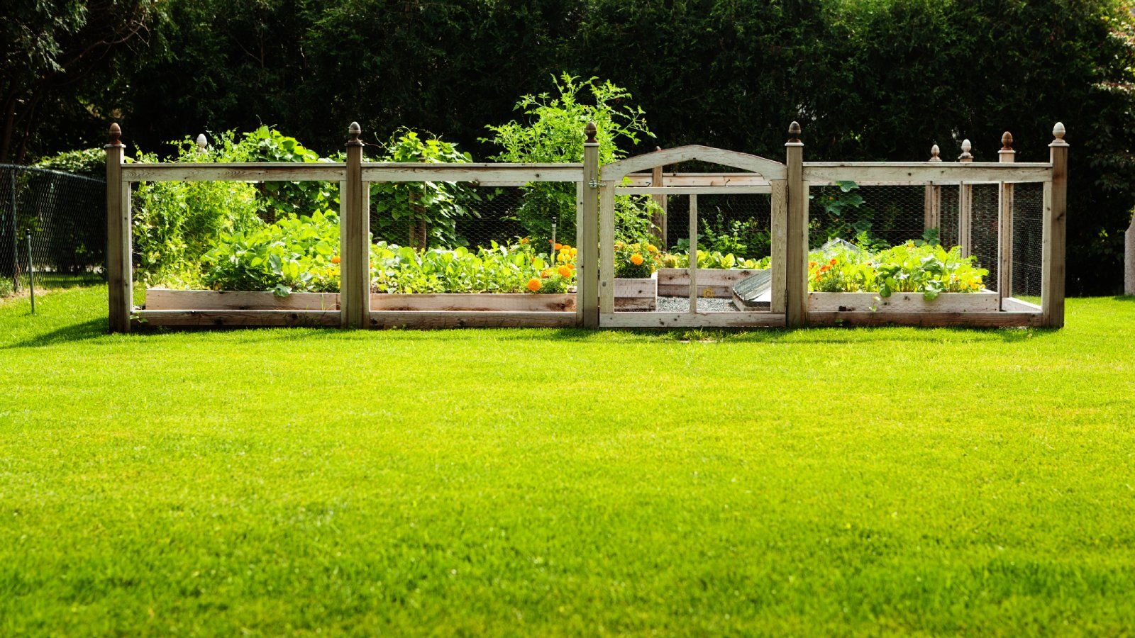9 Vegetable Garden Fence Ideas To Protect Your Produce | Gardening Know How