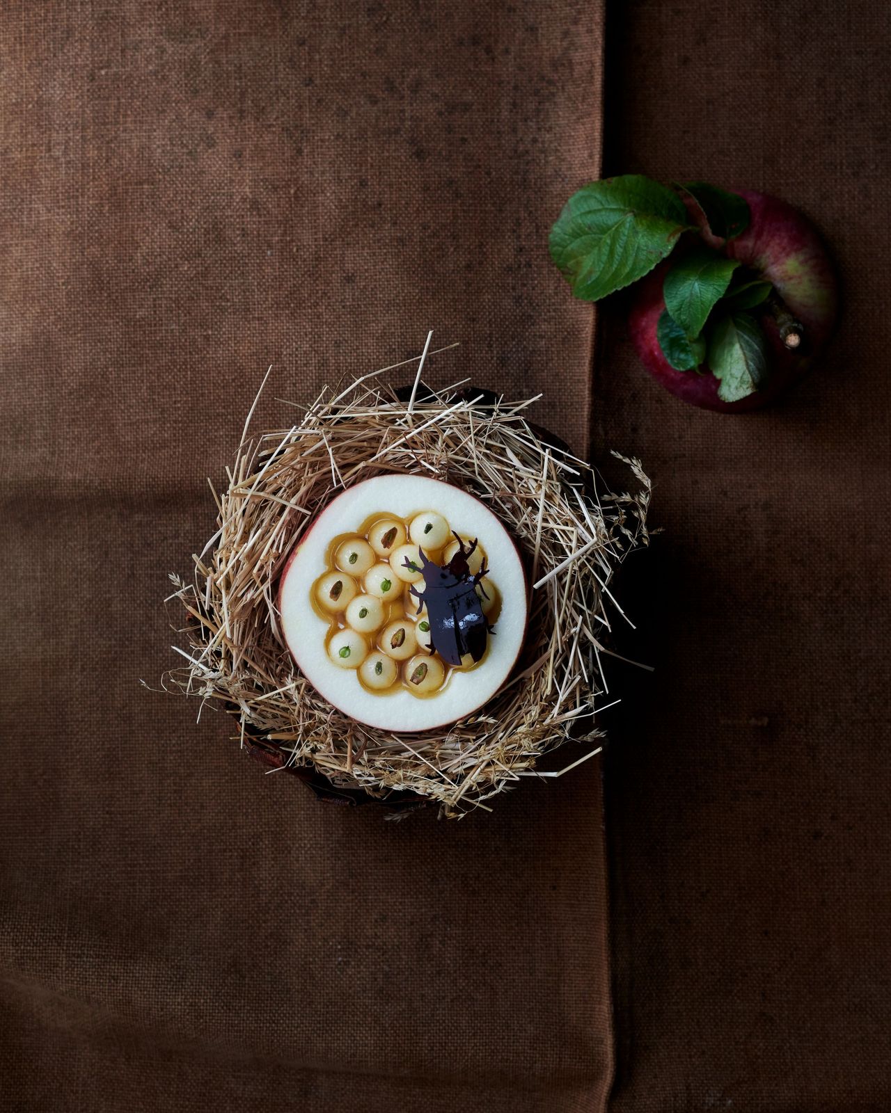 Noma 2.0 restaurant’s new cookbook | Wallpaper*