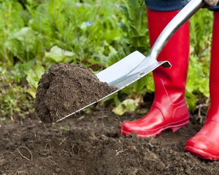 Tips & Information about Gardening How To | Gardening Know How