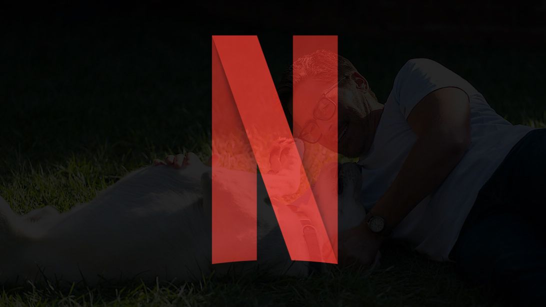 Netflix reveals new number-one TV show and movie - it's all change at ...