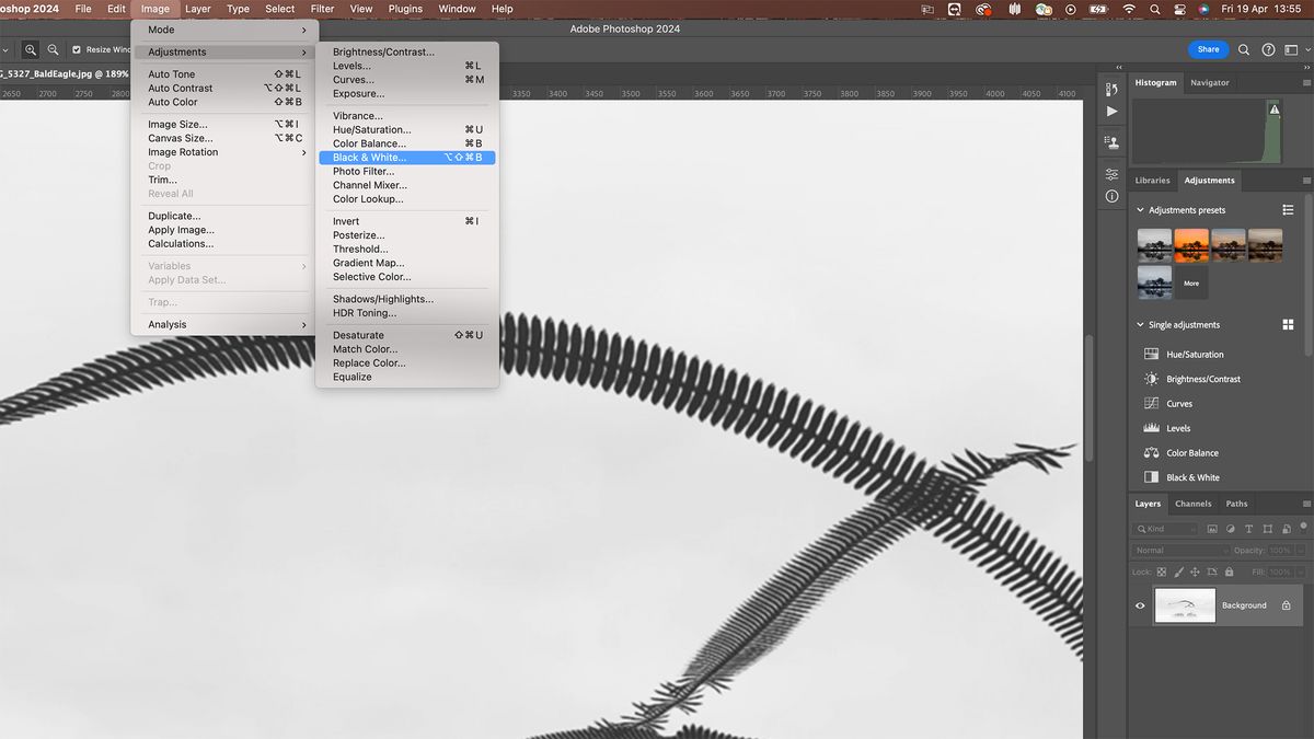Wildlife photography with a twist: Capture birds in flight with this ...
