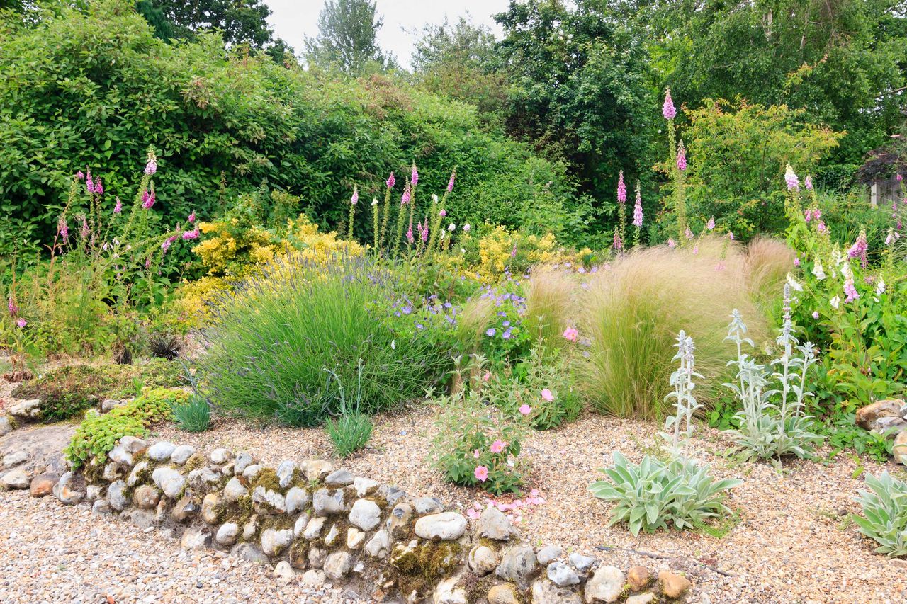 Mediterranean garden ideas: 14 gorgeous ways to plant and style your ...