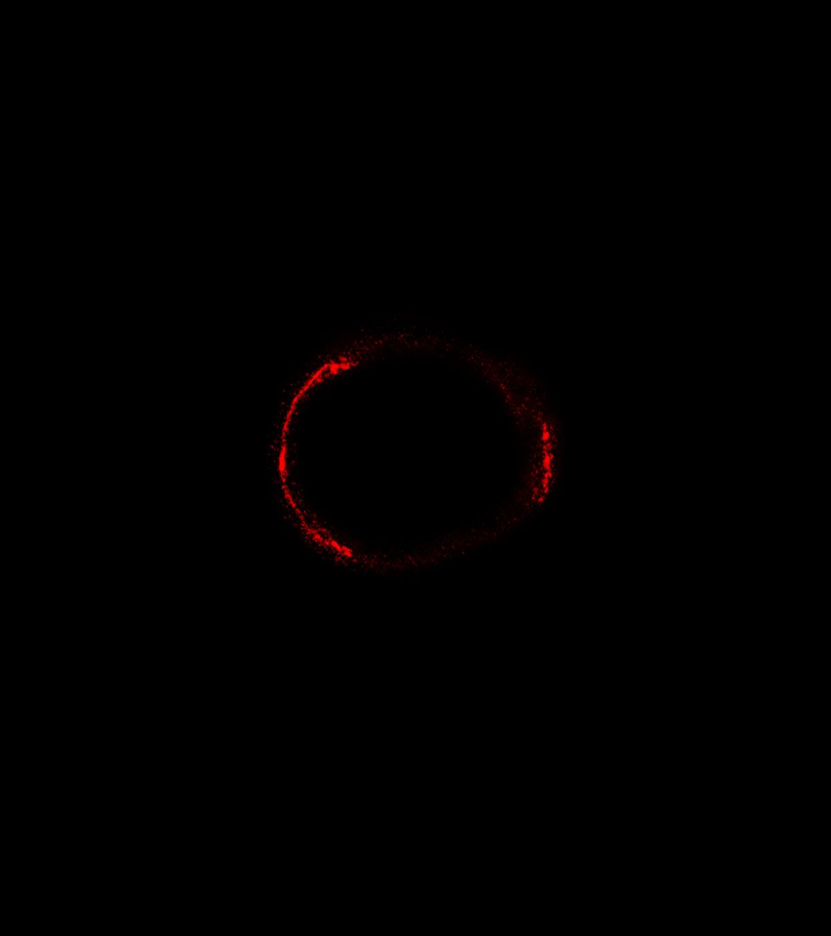 This Cosmic Ring Photo Is the One to Rule Them All | Space
