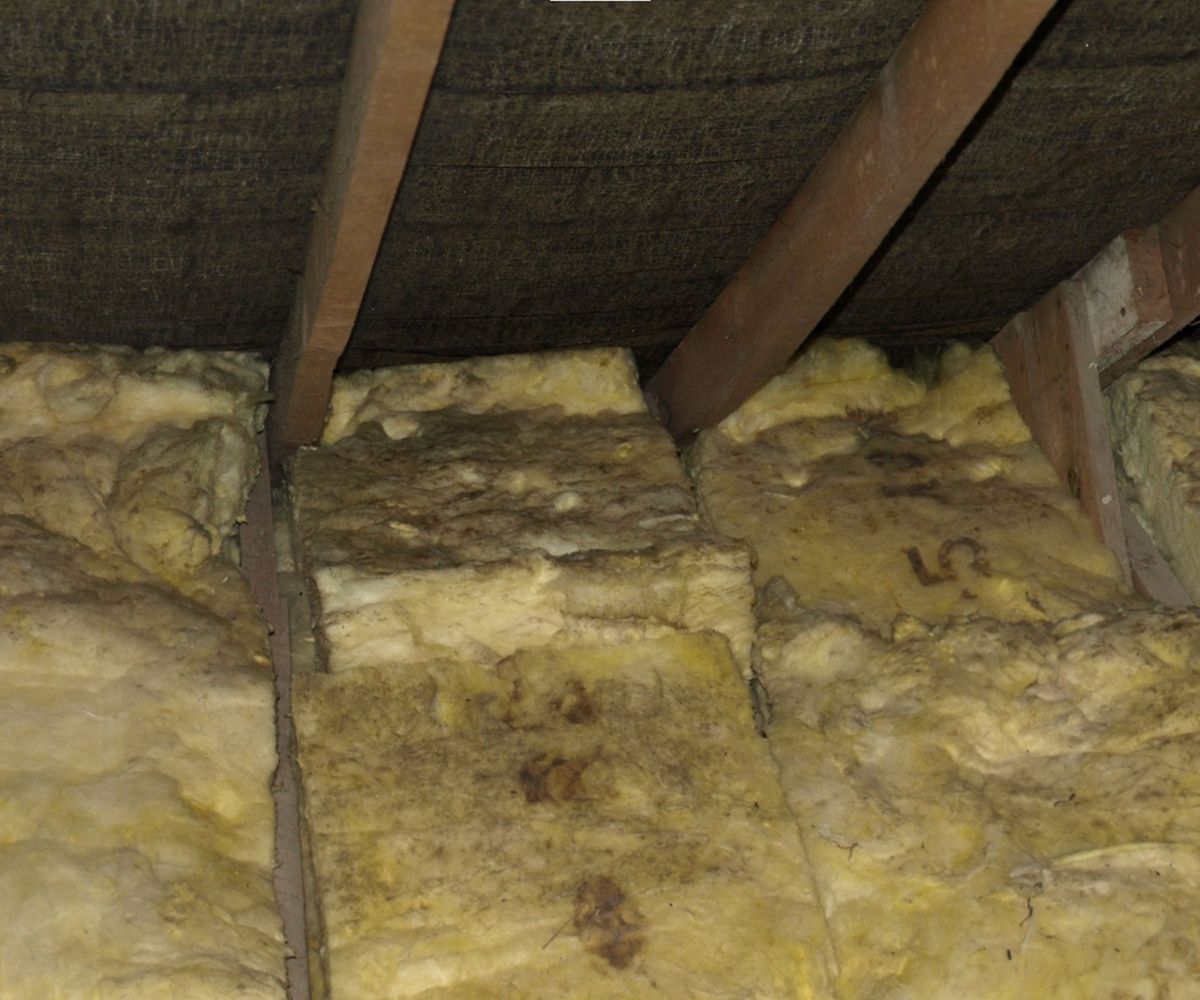 Mould in loft? Here's how to solve the issue fast | Homebuilding