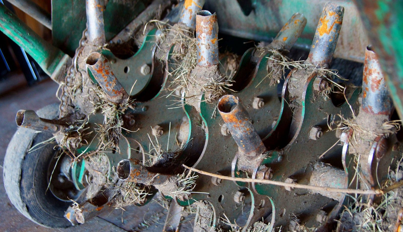 Does My Lawn Need Plug Aeration – What’s The Best Time For Plug ...