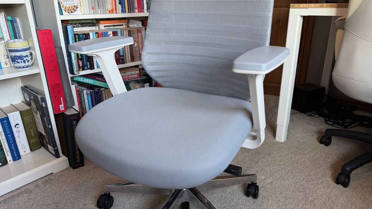Branch Ergonomic Chair review: A budget chair that's a treat for your ...
