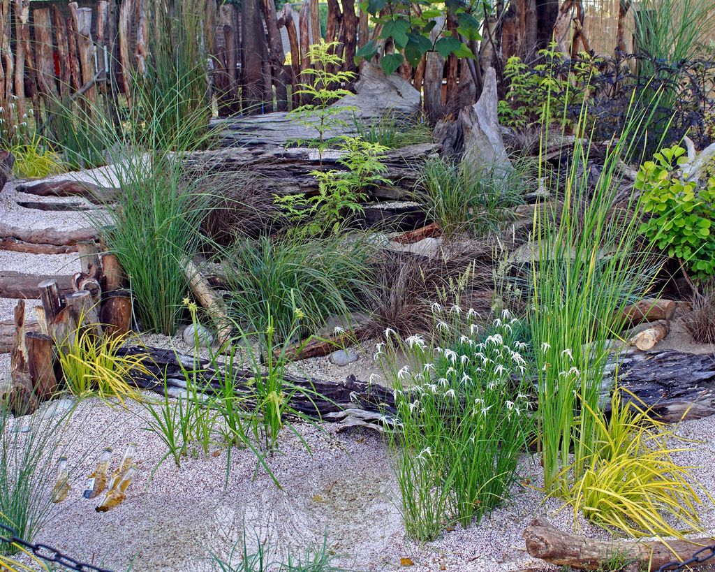 Landscaping with sand: 10 ways to add a coastal vibe | Gardeningetc