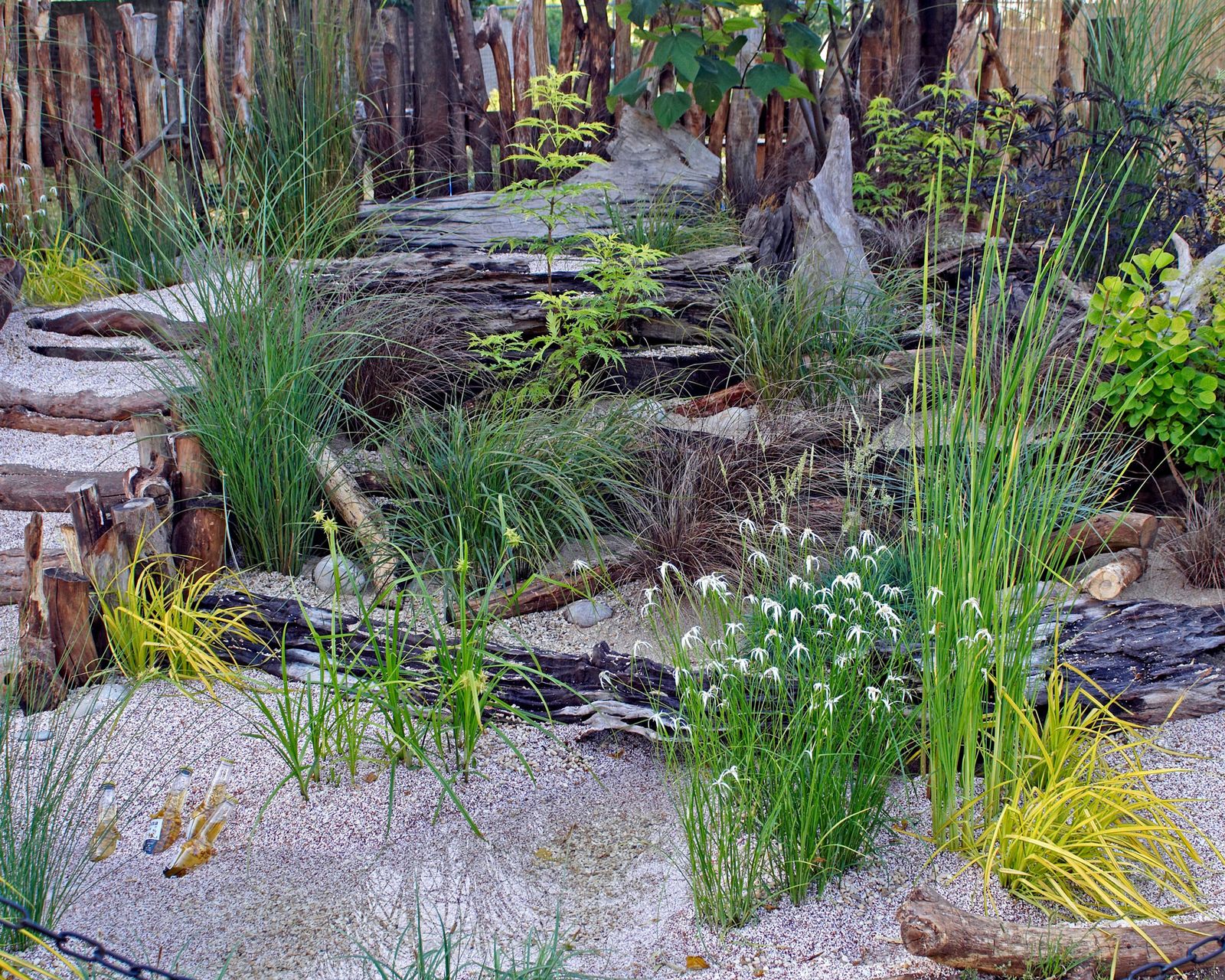 Landscaping with sand: 10 ways to add a coastal vibe | Gardeningetc