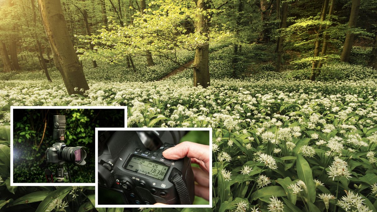 Shoot magical macro photos with Digital Photographer Magazine Issue 281 ...