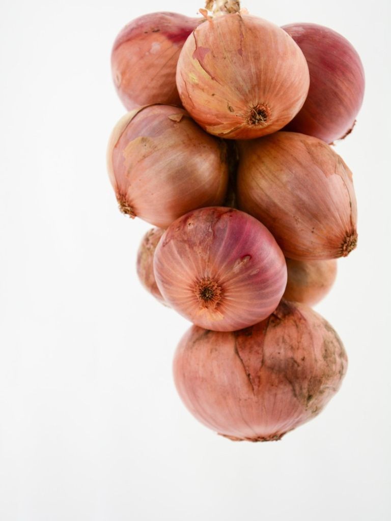 Storing Onions From The Garden: How To Keep Onions Over Winter ...