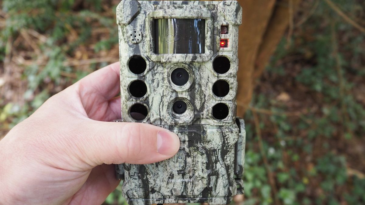 Bushnell Core DS-4K No Glow trail camera review | Digital Camera World