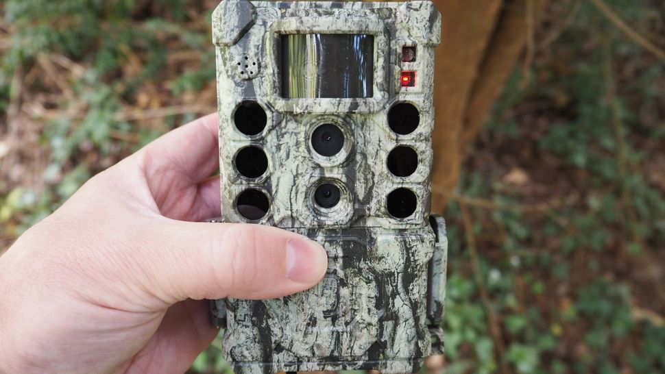Bushnell Core DS-4K No Glow trail camera review | Digital Camera World