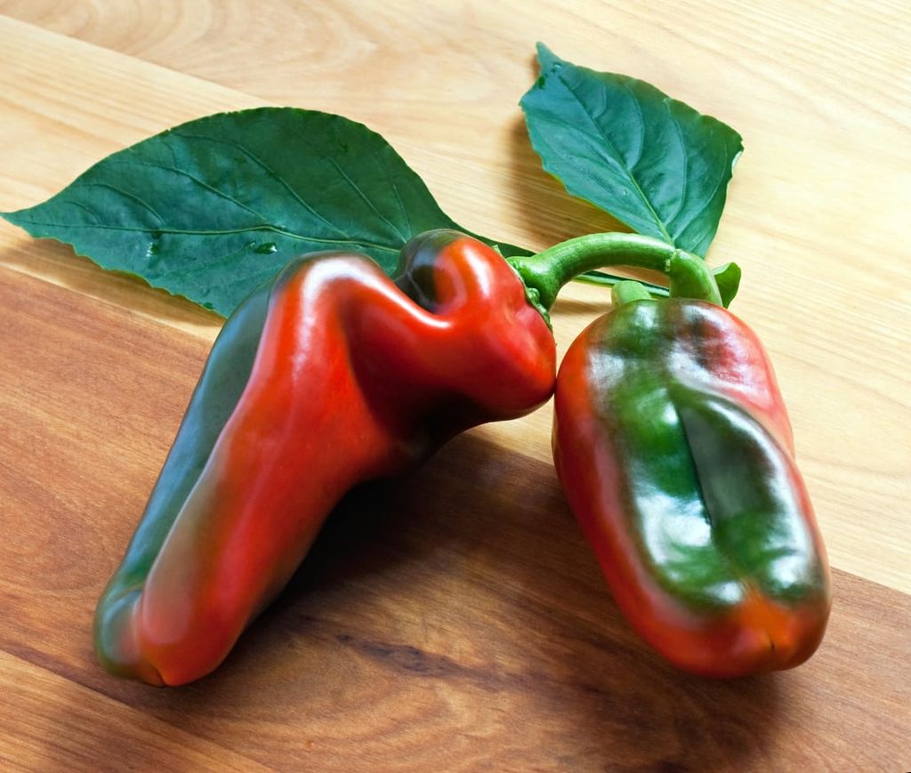 What Are Italian Frying Peppers - Learn About Italian Frying Pepper ...