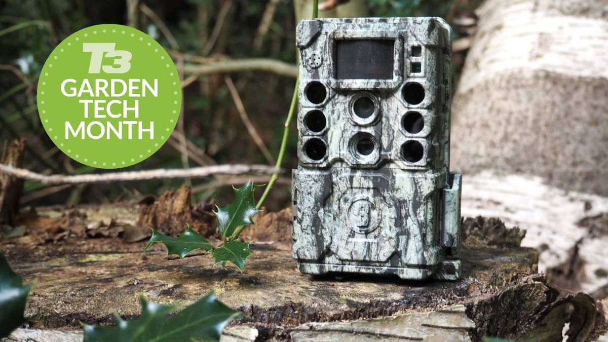 See your garden differently with these 3 cool smart cameras | T3