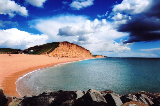 Canon imageFORMULA RS40 review | Digital Camera World