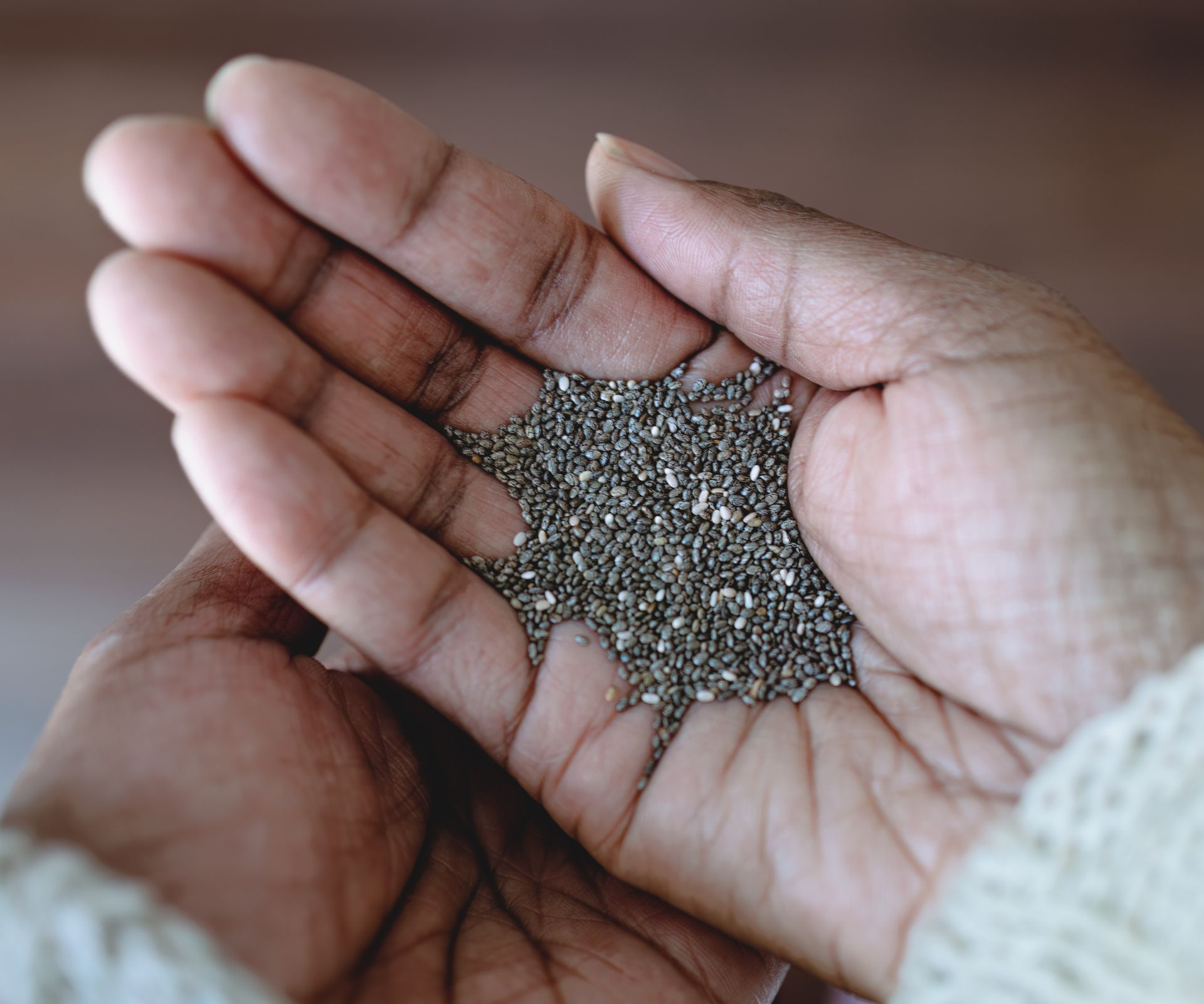 How to harvest chia seeds: 5 tips for collecting these grains | Homes ...