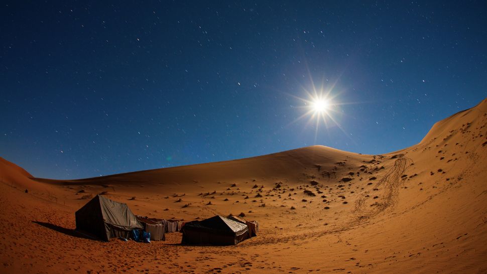 Alinarai latest porn video the PO is skilled - I have never