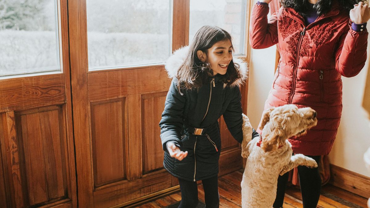 32 easy ways to teach your dog new tricks | PetsRadar