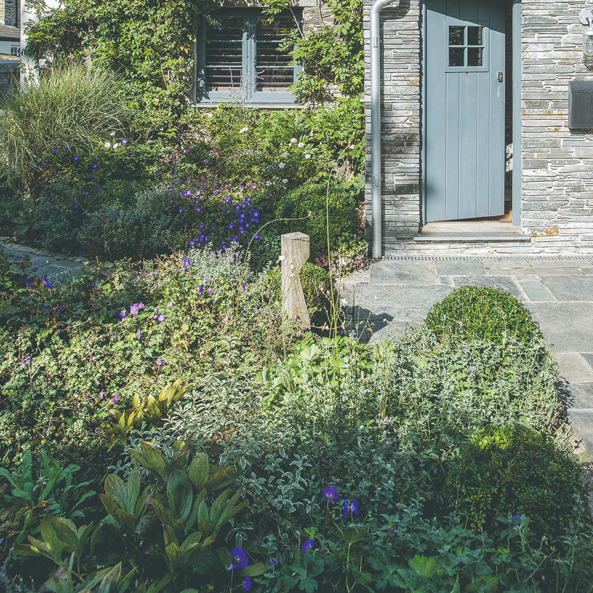 Will ground cover plants stop weeds growing in your garden? | Ideal Home