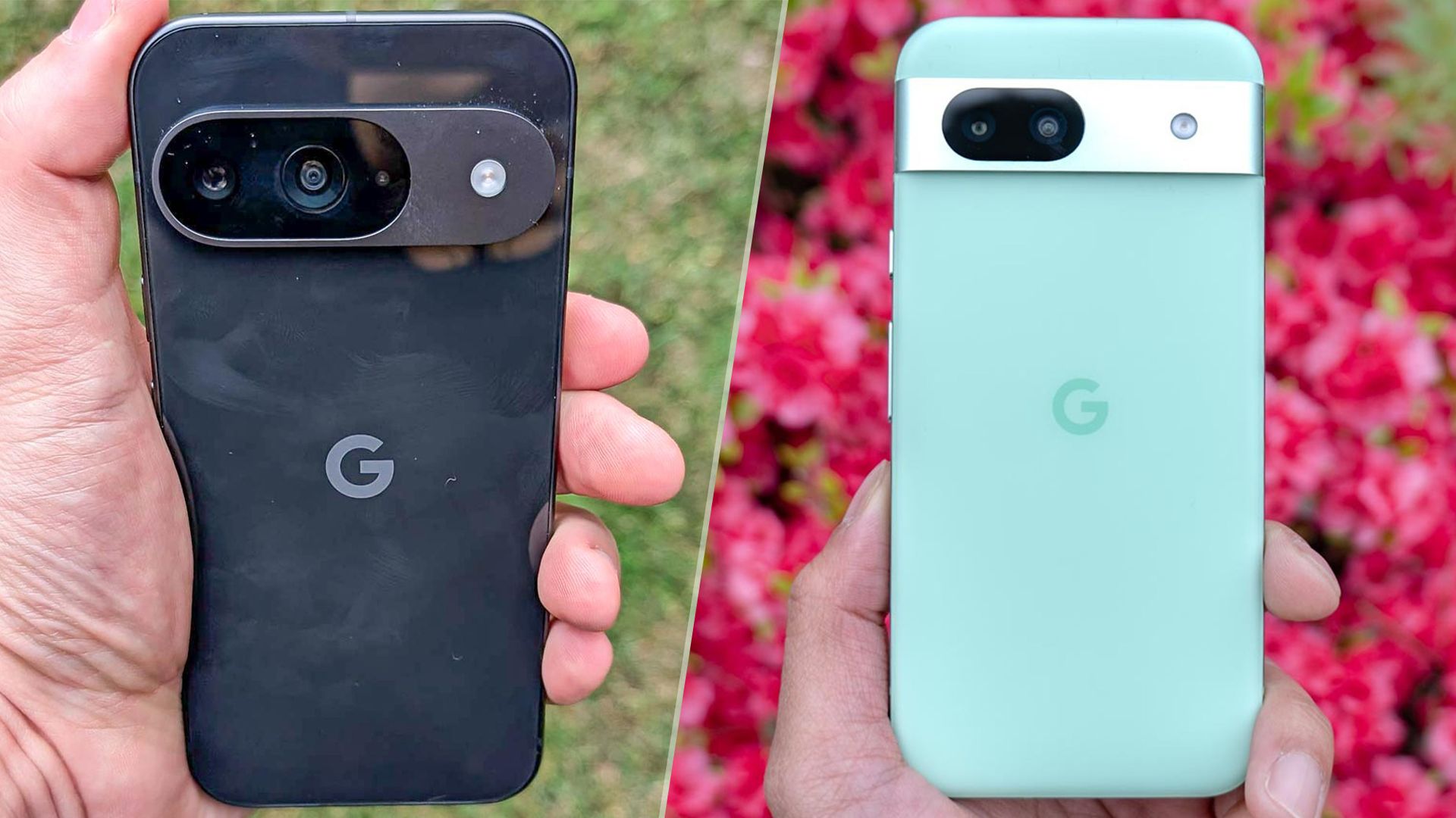 I took over 200 photos with the Google Pixel 9 vs Pixel 8a — here’s the ...