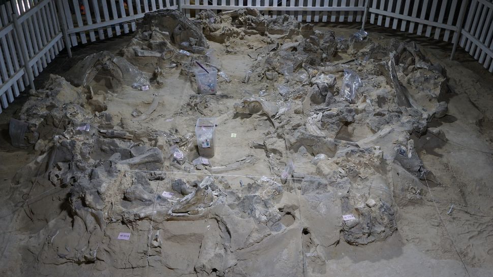 18,000 years ago, ice age humans built dwellings out of mammoth bones ...