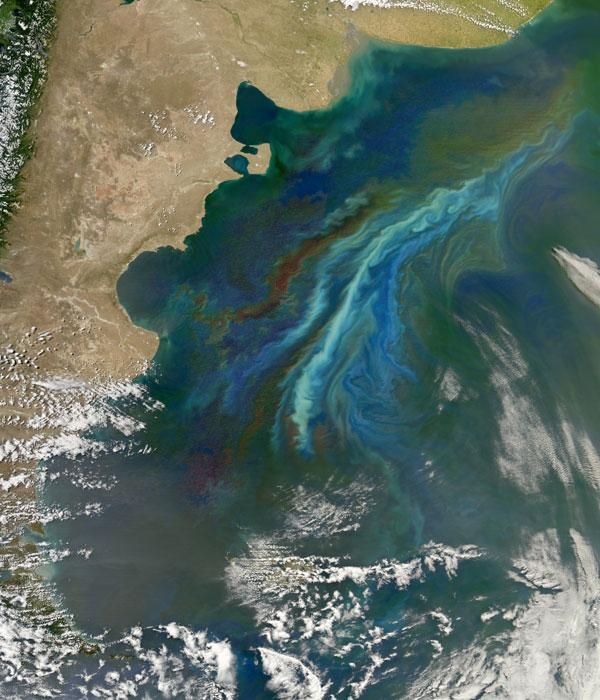 Swirling Ocean Currents Help Spread Sea Life | Live Science