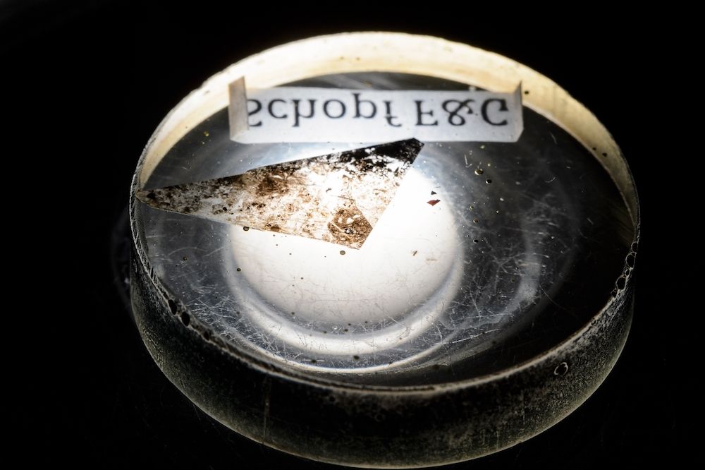 Ancient Microfossils Are 3.5 Billion Years Old, Scientists Say | Live ...