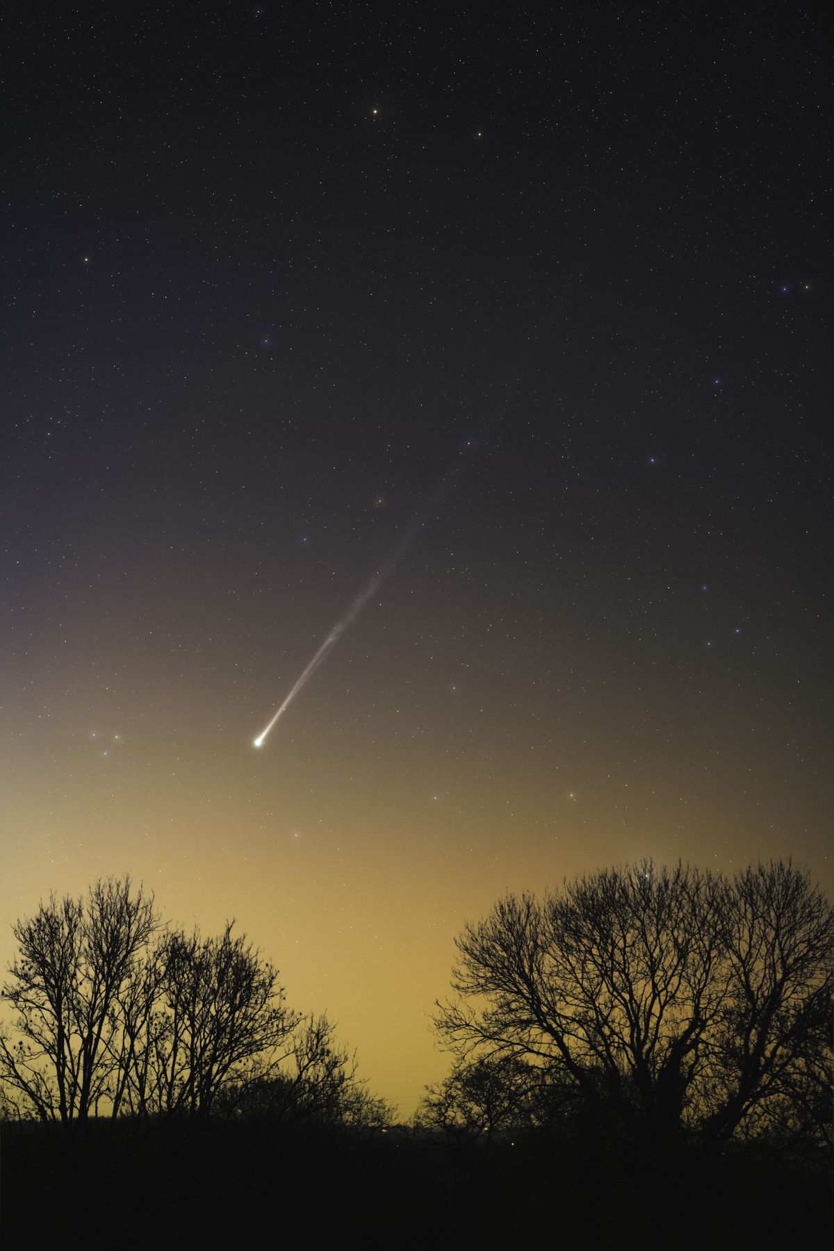 Watch comet PANSTARRS 'switch on' its second tail as it makes closest ...