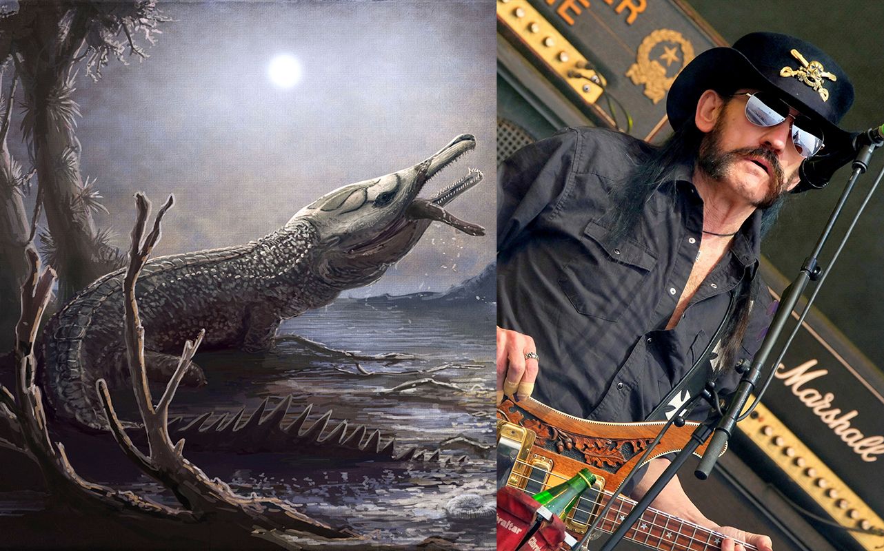 'Nastiest' Jurassic Croc Named for Motorhead's Lemmy | Live Science