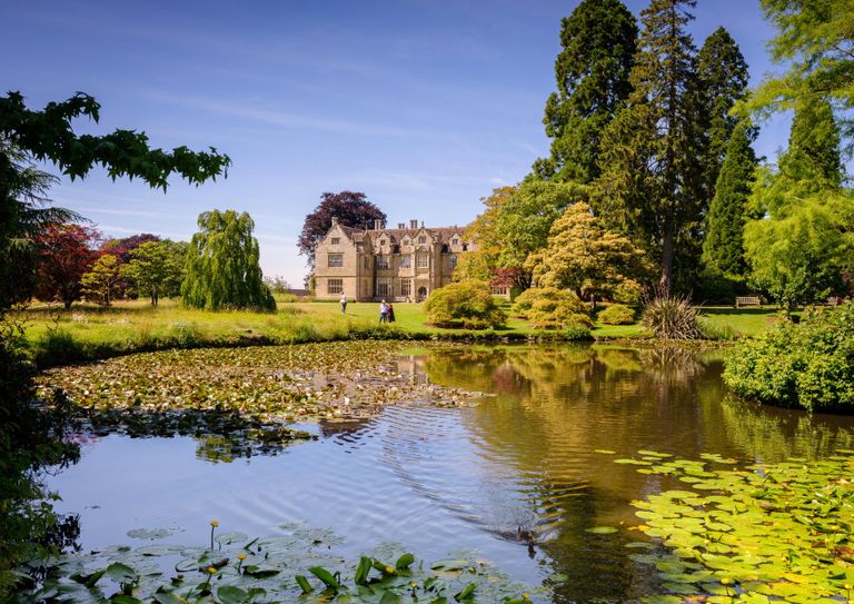 Wakehurst: 500 years of history, 2.4 billion seeds, 500 acres of ...