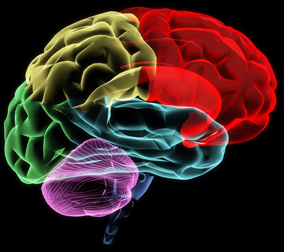 5 Surprising Facts About Pain | Live Science
