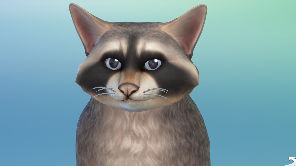 I bred raccoons and cats in The Sims 4 to create the cutest animal ever ...