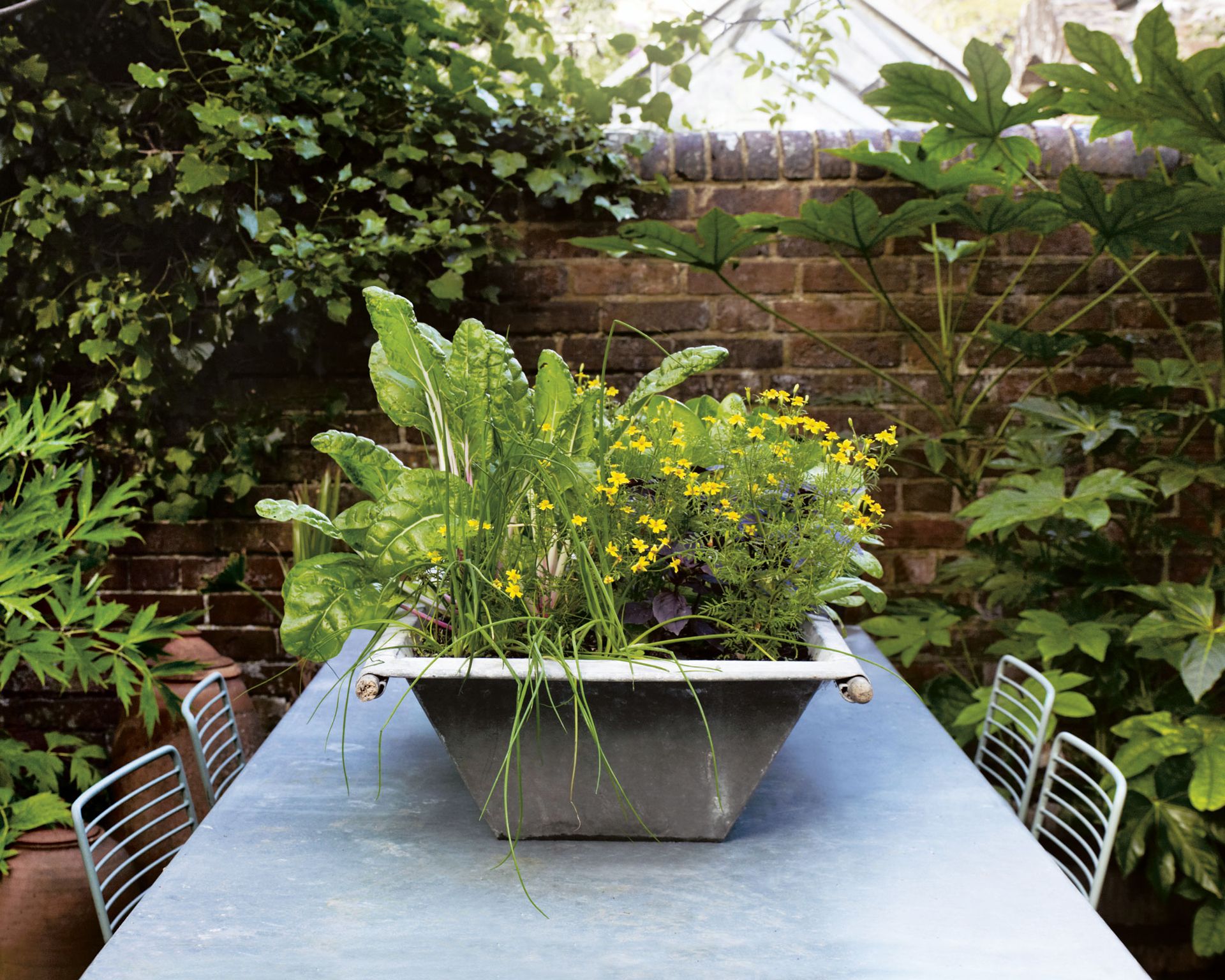 Vegetable garden container ideas for growing crops in pots | Homes and ...