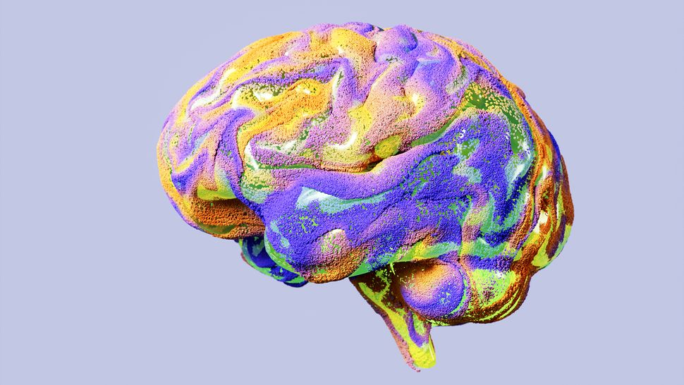 Brain aging accelerates dramatically around age 44 — could ketone ...
