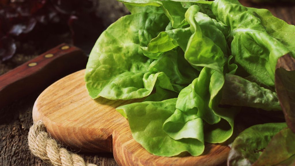 How to harvest butter lettuce so it keeps growing | Homes and Gardens