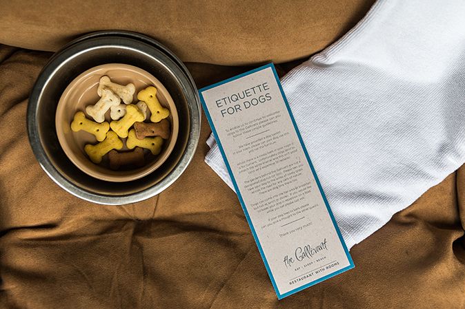 Meet Britain's best hotel animals: The quack pack, the doggy doorman ...