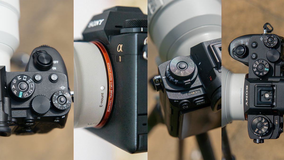 Sony A1 review: Unrivalled ability and an eye-watering cost | Live Science