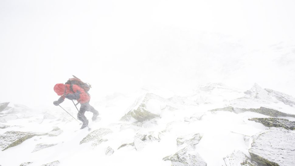 What is a whiteout? Our guide, plus what to do if you’re stuck in one ...